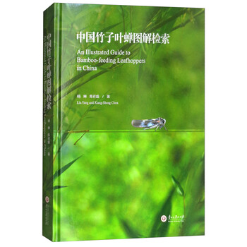 中国竹子叶蝉图解检索