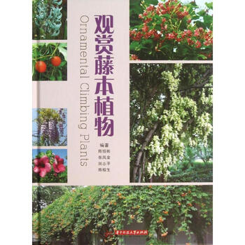 观赏藤本植物