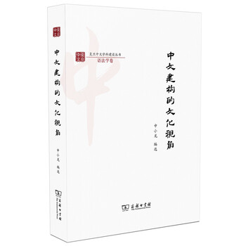 中文建构的文化视角/复旦中文学科建设丛书