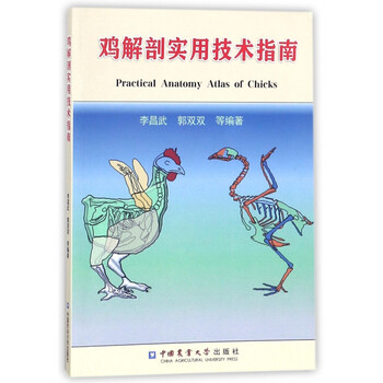 鸡解剖实用技术指南