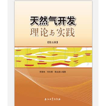 天然气开发理论与实践（第五辑）