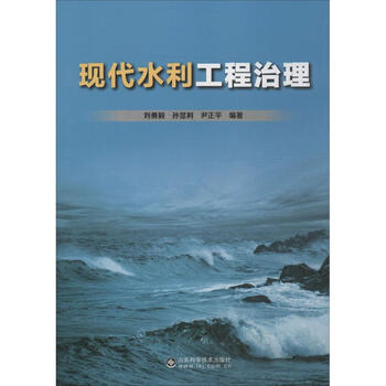 现代水利工程治理