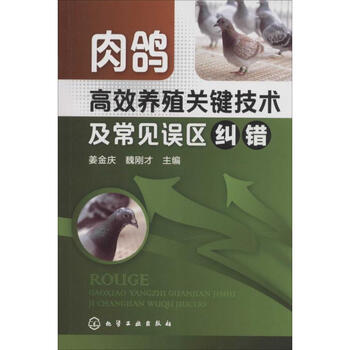 肉鸽高效养殖关键技术及常见误区纠错