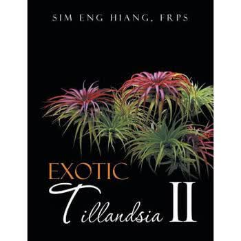 Exotic Tillandsia II