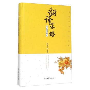 翻译策略与技巧研究