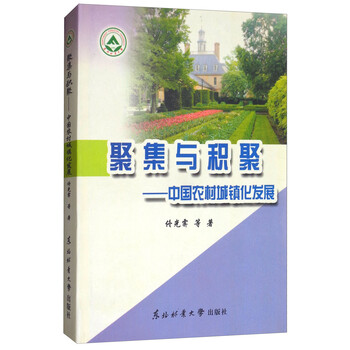 聚集与积聚：中国农村城镇化发展