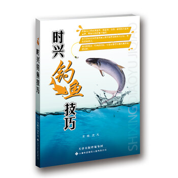  时兴钓鱼技巧9787543332942
