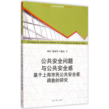 公共安全问题与公共安全感
