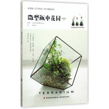 微型瓶中花园