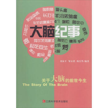 大脑纪事