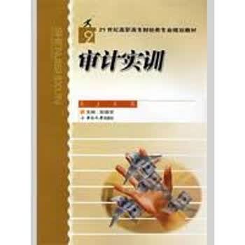 审计实训