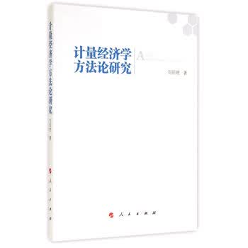 计量经济学方法论研究