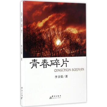 青春碎片