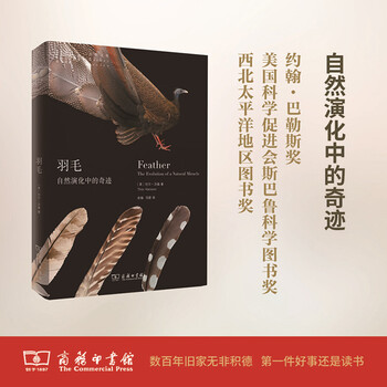 羽毛：自然演化中的奇迹 商务印书馆