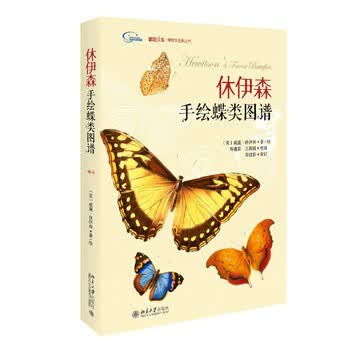 休伊森手绘蝶类图谱