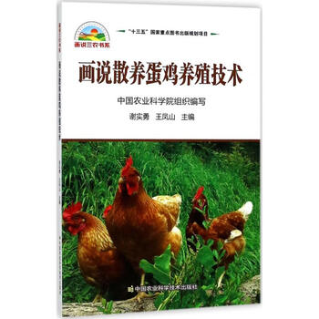 画说散养蛋鸡养殖技术