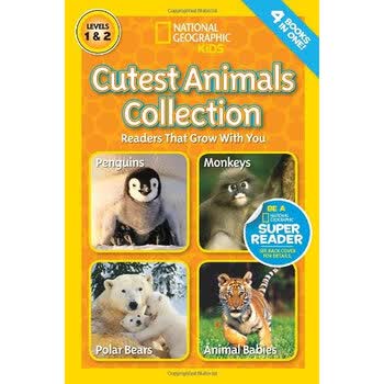 NGR CUTEST ANIMALS 进口儿童绘本