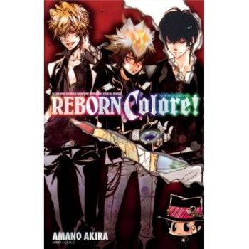 进口日文 家庭教师 公式画集 ビジュアルブックREBORN Colore