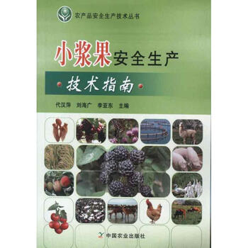 小浆果安全生产技术指南