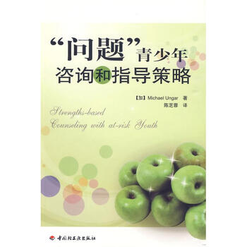 “问题”青少年咨询和指导策略