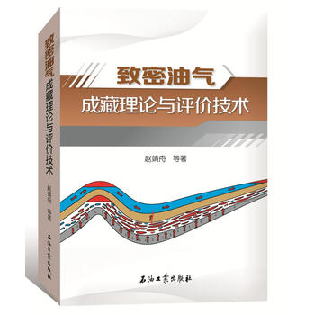 致密油气成藏理论与评价技术