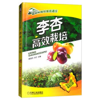 李杏高效栽培