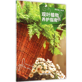 观叶植物养护指南