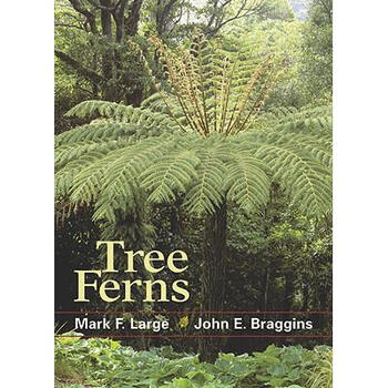 Tree Ferns