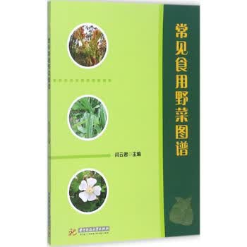 常见实用野菜图谱