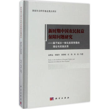 新时期中国农民权益保障问题研究