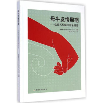母牛发情周期