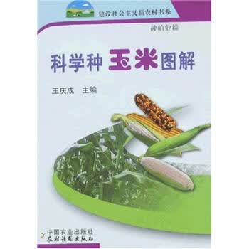 科学种玉米图解/新农村