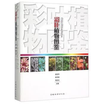 彩叶植物图鉴
