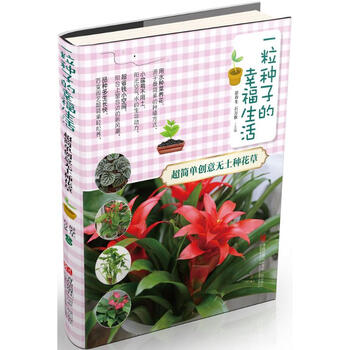 一粒种子的幸福生活超简单创意无土种花草