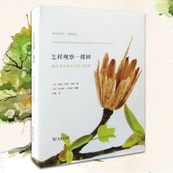 怎样观察一棵树 探寻常见树木的非凡秘密 精装  科普读物