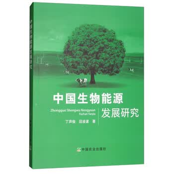 中国生物能源发展研究
