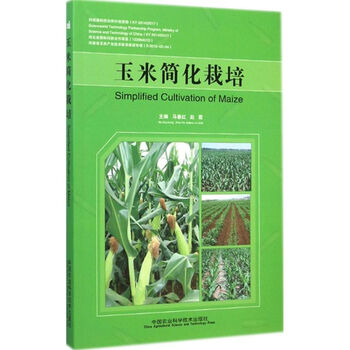 玉米简化栽培