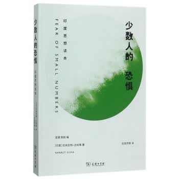 少数人的恐惧(印度思想读本)