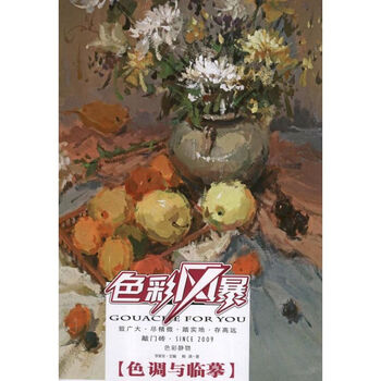 色彩静物.色调与临摹