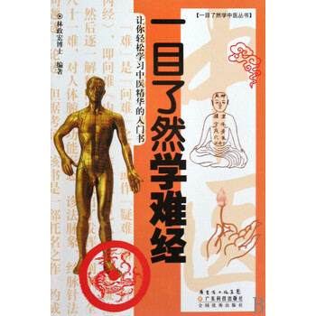 一目了然学难经/一目了然学中医丛书