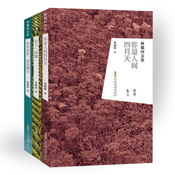 林徽因文集全集：恋上一座城+你若安好，便是晴天+你是人间四月天（套装共3册）林徽因经典作品小说散文诗歌剧本书信建筑学女性心灵励志文学名著