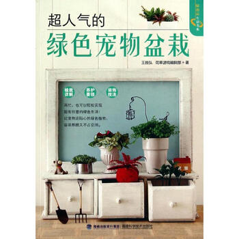 超人气的绿色宠物盆栽