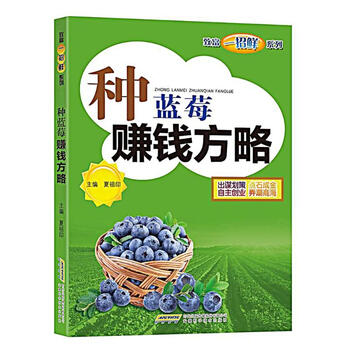 种蓝莓赚钱方略