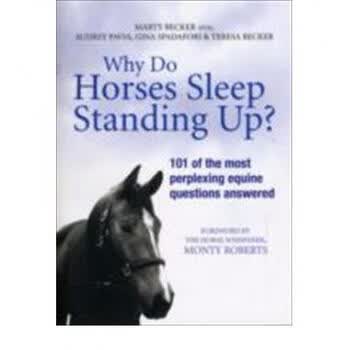 Why Do Horses Sleep Standing Up?