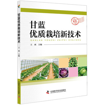甘蓝优质栽培新技术