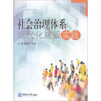 社会治理体系现代化建设实践