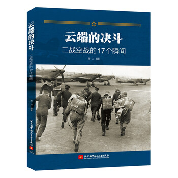 云端的决斗 二战空战的17个瞬间