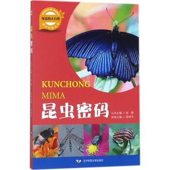 昆虫密码