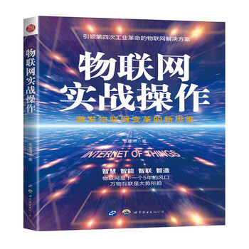 物联网实战作:激发物联网变革的新思维 经济 书籍分类 智能经济