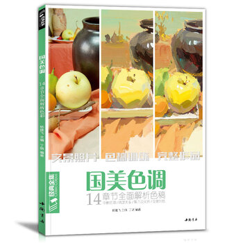 经典全集 国美色调 色彩静物色稿训练临摹书水粉写生对画照片花质感零基础入门自学艺高考联考中